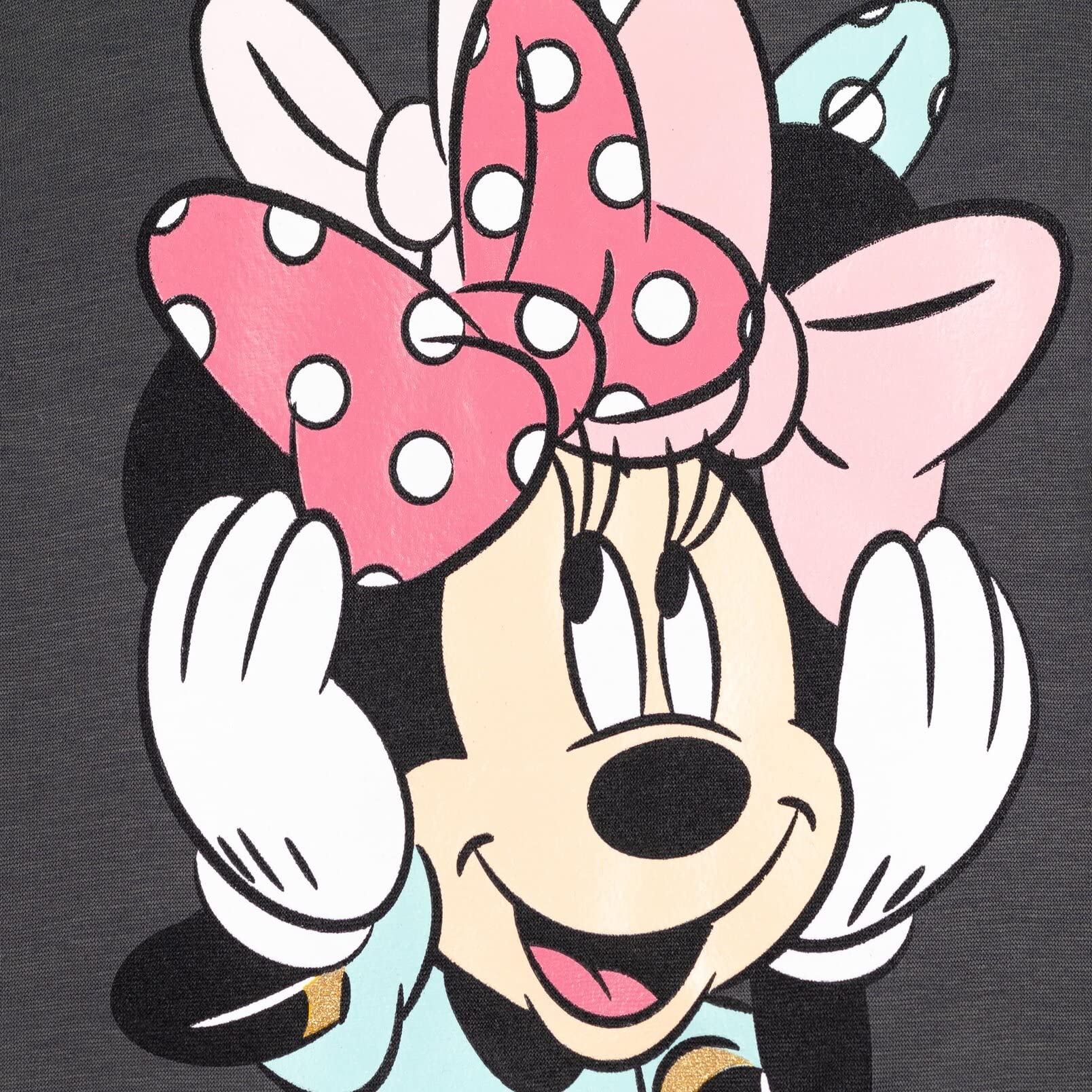 Disney Minnie Mouse Toddler Girls Fleece Pullover Sweatshirt Pants Set Gray 4T