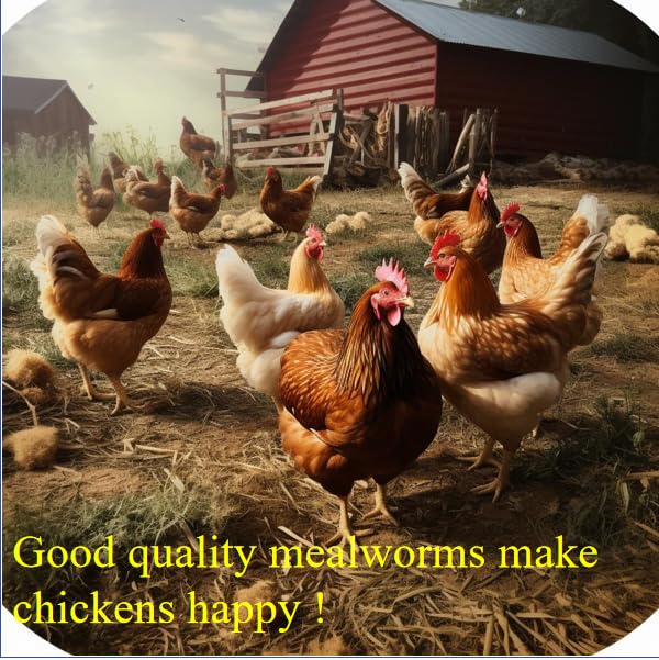 Classic Flock 10.5lb Mealworms - High Protein, Pure Natural, Delicious - Ideal for Chickens, Birds, Ducks, Lizards, Turtles, Fish, and Reptiles, 10lbs Meal Worms