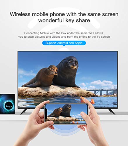 Android 10.0 TV Box Smart Android TV Box Media Player Quad-Core 4GB RAM 64GB ROM Support 2.4G WiFi/H.265/ USB 2.0/ 100M LAN/ 3D 6K Ultra HD