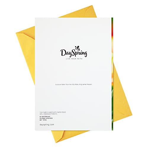 DaySpring Pack of Religious Easter Cards, He is Risen (10 Cards with Envelopes)