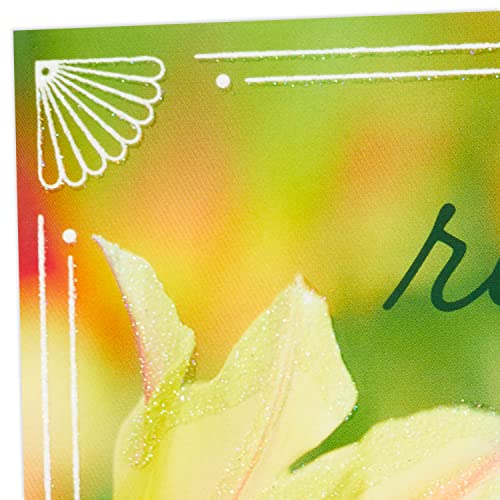 DaySpring Pack of Religious Easter Cards, He is Risen (10 Cards with Envelopes)
