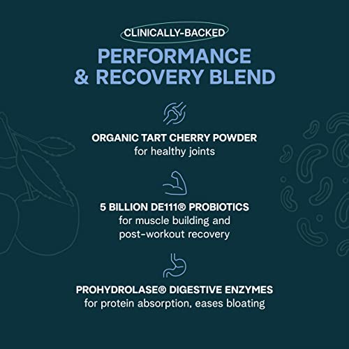 Ora Organic Work It: Ultra Clean Plant-Based Protein Powder Optimized for Recovery and Performance - with Tart Cherry, ProHydrolase, and Probiotics - 15 Servings (Chocolate, 15)