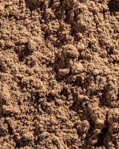 Ora Organic Work It: Ultra Clean Plant-Based Protein Powder Optimized for Recovery and Performance - with Tart Cherry, ProHydrolase, and Probiotics - 15 Servings (Chocolate, 15)