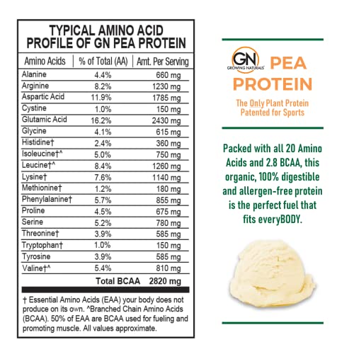 Growing Naturals Raw Pea Protein Powder, Vegan Plant Based Protein, BCAA, Low-Carb, Low-Sugar, Vanilla Blast, 2 Pound (Pack of 1)