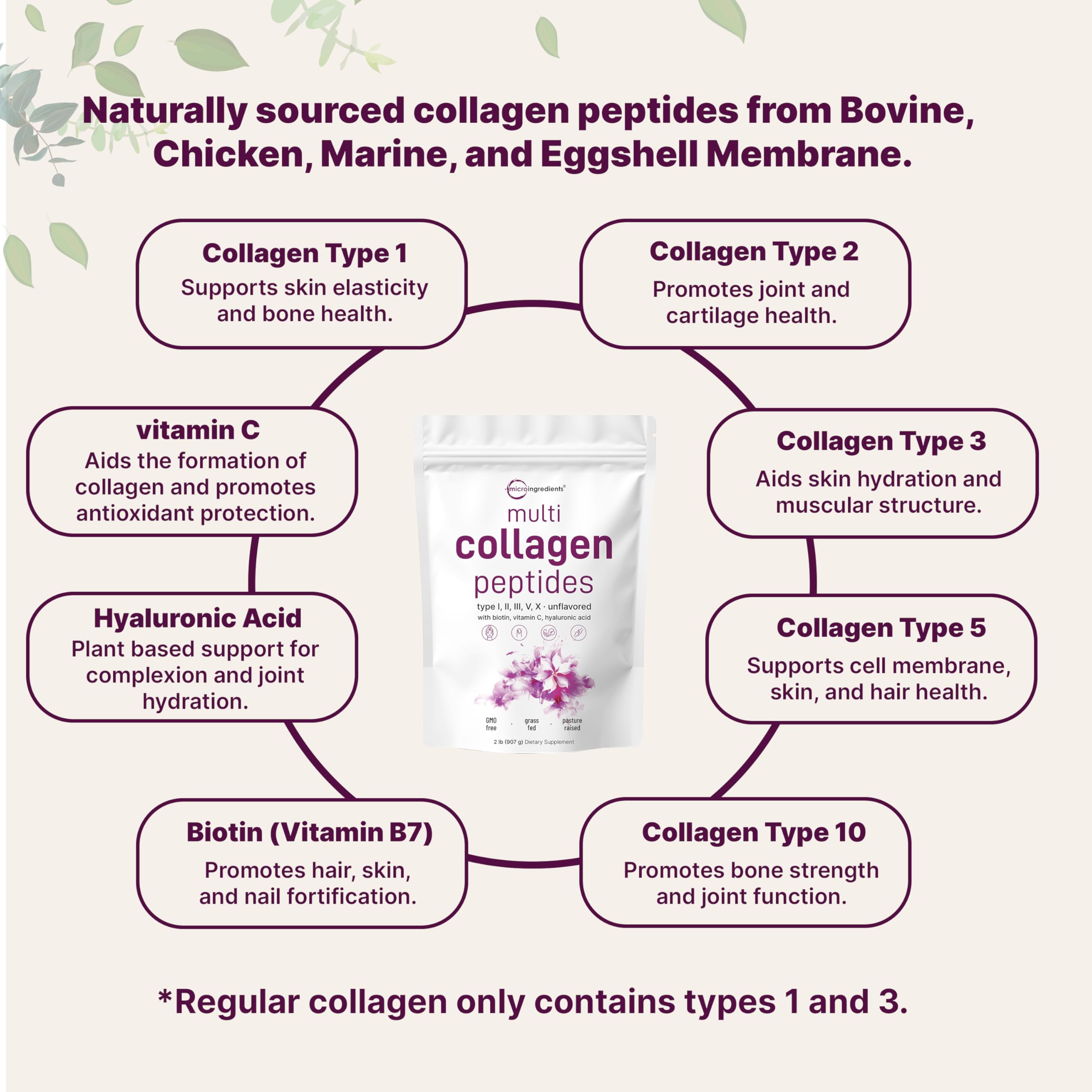 Multi Collagen Protein Powder, 2lbs – Hydrolyzed Collagen Peptides | Type I,II,III,V,X with Biotin 10000mcg, Hyaluronic Acid, Vitamin C – Unflavored – Keto & Paleo Friendly, Easy Dissolve, Non-GMO