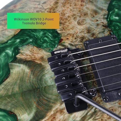 Leo Jaymz Electric Guitar Tempest Series - Mahogany Body and Burl Top,Maple Neck and Rosewood Fingerboard,Alnico V active Pickups,Wilkinson 2-point Temolo Bridge (Architect)
