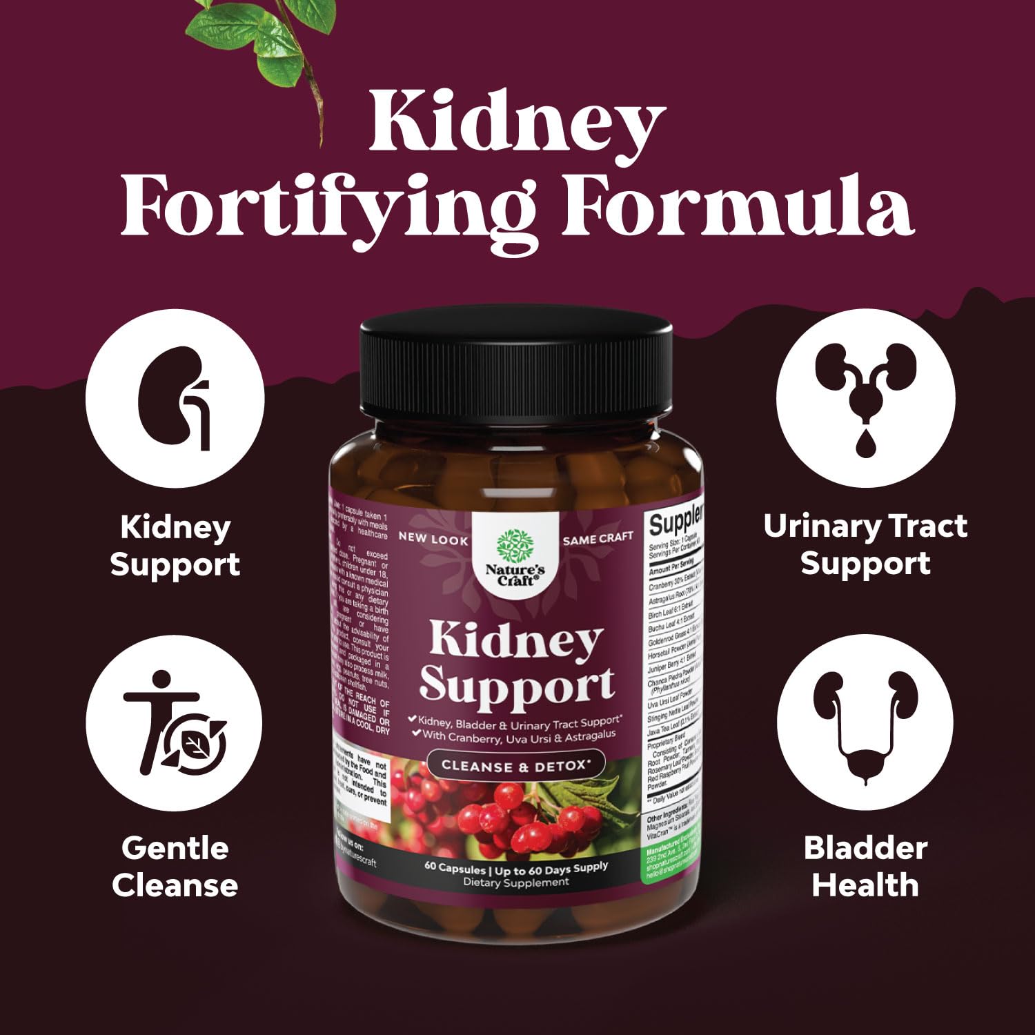 Kidney Support Supplement - High Strength Kidney Cleanse, Detox & Repair Cranberry Extract Capsules with Uva Ursi, Stinging Nettle & Java Tea - Urinary Tract Health & Bladder Cleanse Support - 60 Caps