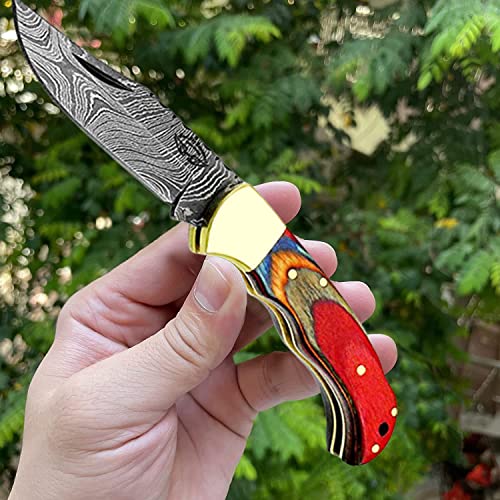 Multi Wood Unique Beautiful 6.5'' Custom Handmade Damascus Steel Brass Bolster Back Lock Folding Pocket Knife Sharpening Rod 100% Prime Quality Plus Beautiful Blue Wood Stainless Steel Pocket Knive