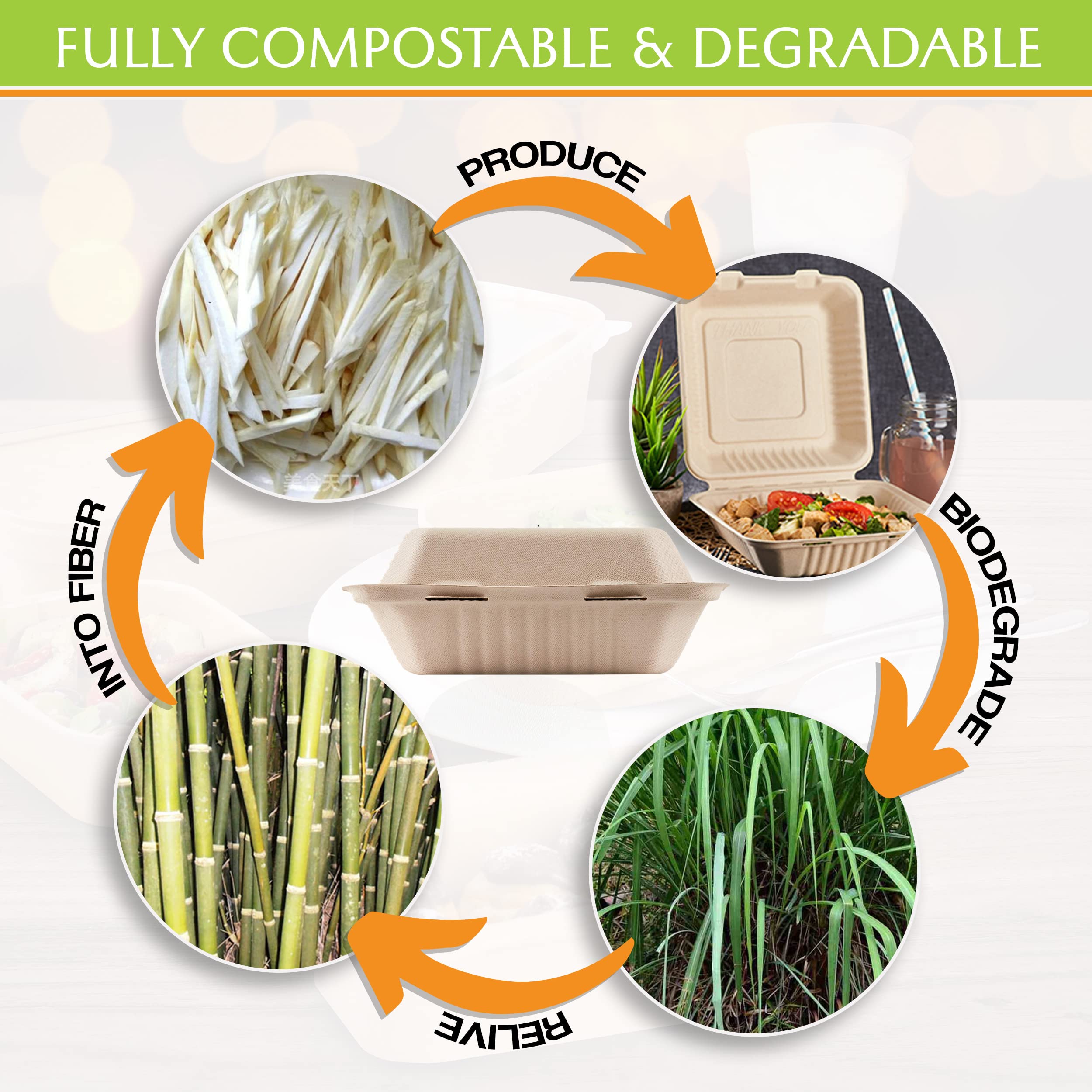 Raj Eco To Go Containers Compostable Clamshell Disposable, [8x8" 50-Pack] Take out Box With Hinged Lids, Meal-Prep, Eco Friendly, Biodegradable, food container made of sugar cane Bagasse BROWN