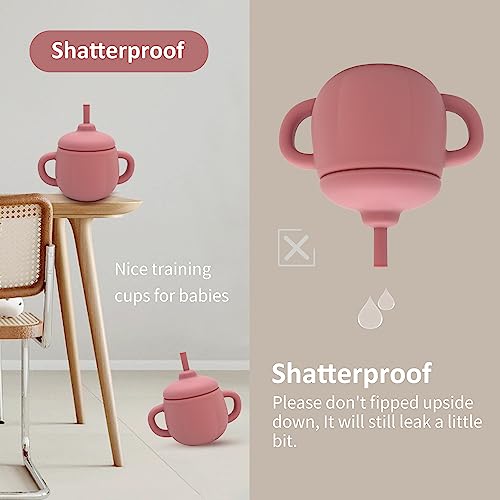 Santi & Me 2-1 Silicone Straw Cup for Baby, Spill-proof Sippy Cup for Babies 6-12-18 Month, Open Training Water Cups with Easy-Hold Handle, Baby Led Weaning Cups - BPA Free - 8.8oz (Dark pink)