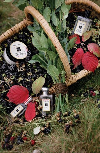 Jo Malone BlackBerry Body Hand Wash 250ml 8.5oz, no color, bay, 1 Count