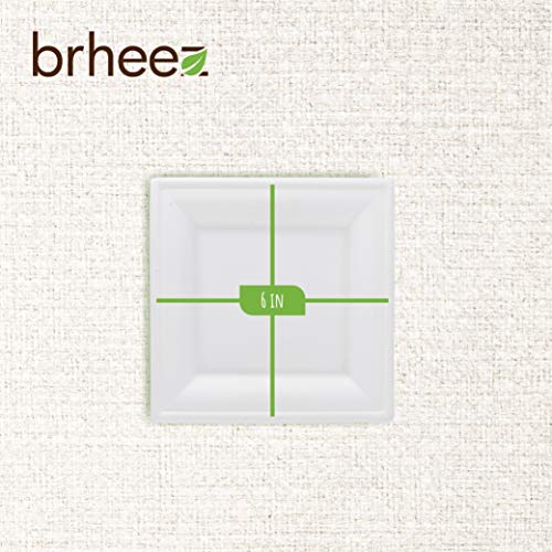 brheez 6-in Disposable Plates (60 Pack) - Eco-Friendly, Compostable Heavy Duty Square Paper Plates - 100% Natural Sugarcane Bagasse Fibre