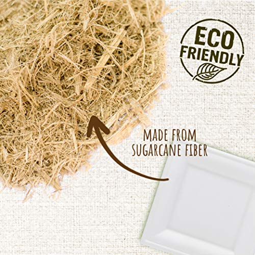 brheez 6-in Disposable Plates (60 Pack) - Eco-Friendly, Compostable Heavy Duty Square Paper Plates - 100% Natural Sugarcane Bagasse Fibre