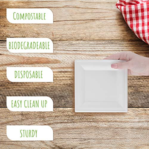 brheez 6-in Disposable Plates (60 Pack) - Eco-Friendly, Compostable Heavy Duty Square Paper Plates - 100% Natural Sugarcane Bagasse Fibre