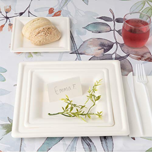 brheez 6-in Disposable Plates (60 Pack) - Eco-Friendly, Compostable Heavy Duty Square Paper Plates - 100% Natural Sugarcane Bagasse Fibre