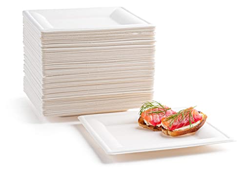 brheez 6-in Disposable Plates (60 Pack) - Eco-Friendly, Compostable Heavy Duty Square Paper Plates - 100% Natural Sugarcane Bagasse Fibre