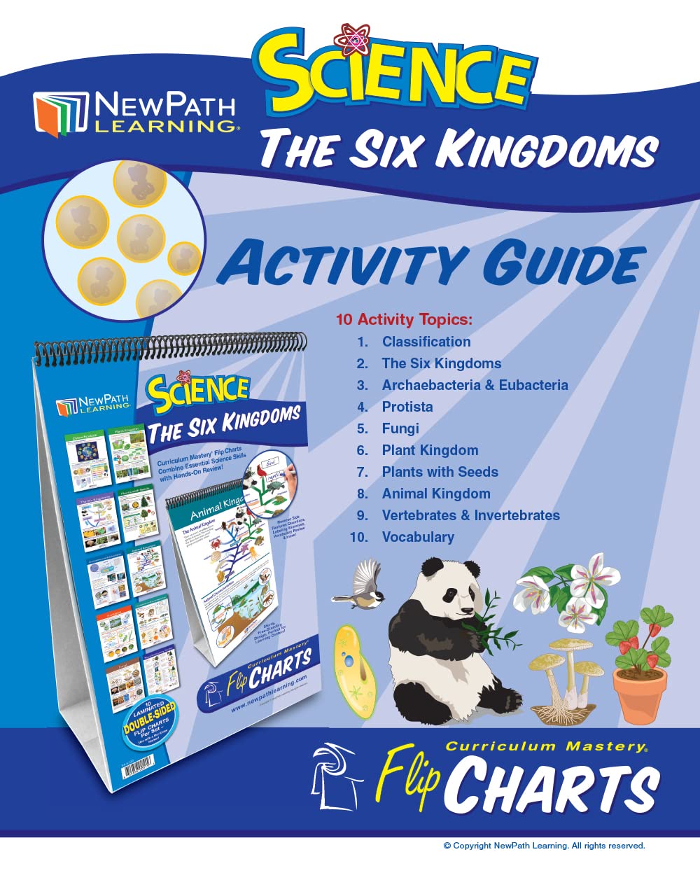 NewPath Learning Six Kingdoms Laminated, Double-Sided “Write-On/Wipe-Off” Flip Chart - Set of 10, 12" x 18" Charts (34-6729)