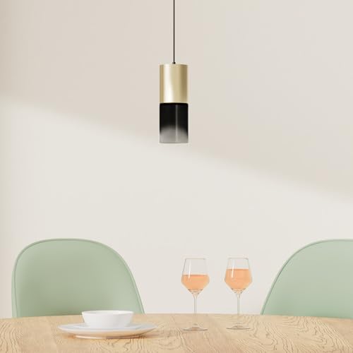 LINSEEDS Pendant Light Fixtures, Black and Gold Adjustable Modern Pendant Lights for Kitchen Island, Industrial Glass Pendant Lights for Dining Table Hallway Bedroom Living Room,1 Pack