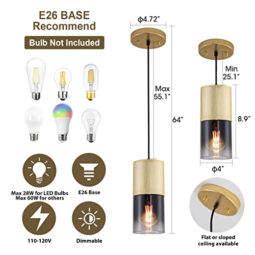 LINSEEDS Pendant Light Fixtures, Black and Gold Adjustable Modern Pendant Lights for Kitchen Island, Industrial Glass Pendant Lights for Dining Table Hallway Bedroom Living Room,1 Pack