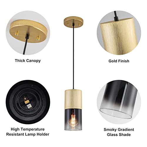 LINSEEDS Pendant Light Fixtures, Black and Gold Adjustable Modern Pendant Lights for Kitchen Island, Industrial Glass Pendant Lights for Dining Table Hallway Bedroom Living Room,1 Pack