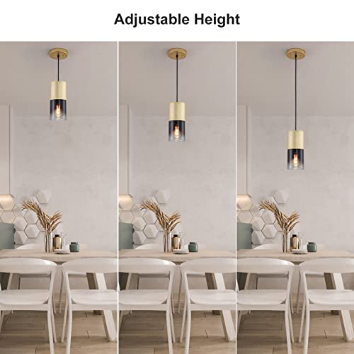 LINSEEDS Pendant Light Fixtures, Black and Gold Adjustable Modern Pendant Lights for Kitchen Island, Industrial Glass Pendant Lights for Dining Table Hallway Bedroom Living Room,1 Pack