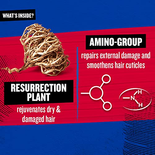 TIGI Bed Head RESURRECTION REPAIR SHAMPOO FOR DAMAGED HAIR 13.53 fl oz