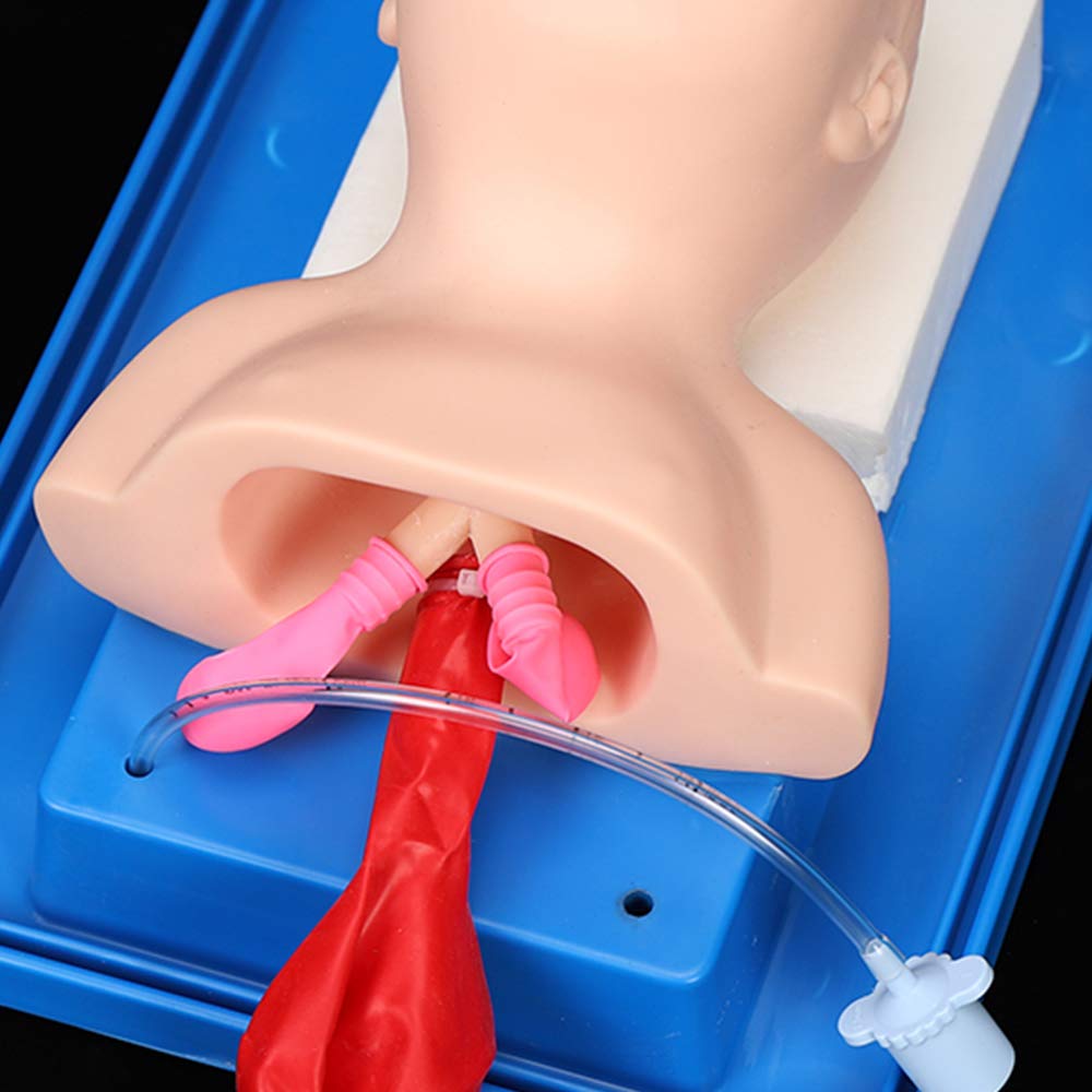 Intubation Manikin, Study Teaching Baby Model Lab Airway Management Training Infant Tracheal Manikin with Tube (US Shipping)