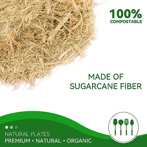 Amozife 100% Compostable 7 Inch Paper Plates, 125 Count Disposable Eco-Friendly Brown Dinner Plates, Biodegradable Heavy Duty Plates for Parties, Weddings, Catering, Events
