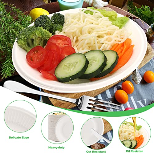 Eco-friendly 200 Pack Disposable Paper Plates, 100% Compostable & Biodegradable, Heavy-Duty Sugarcane Plates for Party, Picnic (6in)