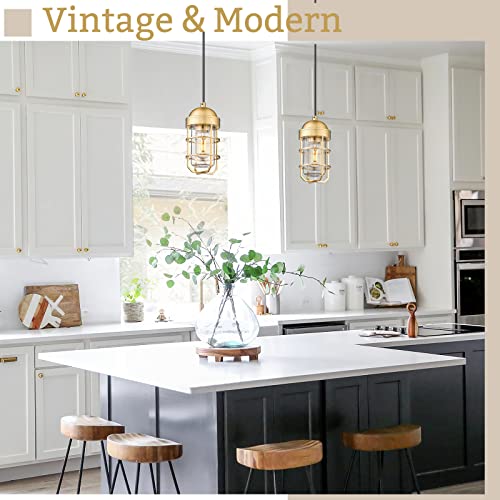 Emliviar Modern Gold Pendant Light with Metal Cage, Mini Ceiling Hanging Light with Clear Tempered Glass for Kitchen Dining Room, Gold Finish, GE255P BG