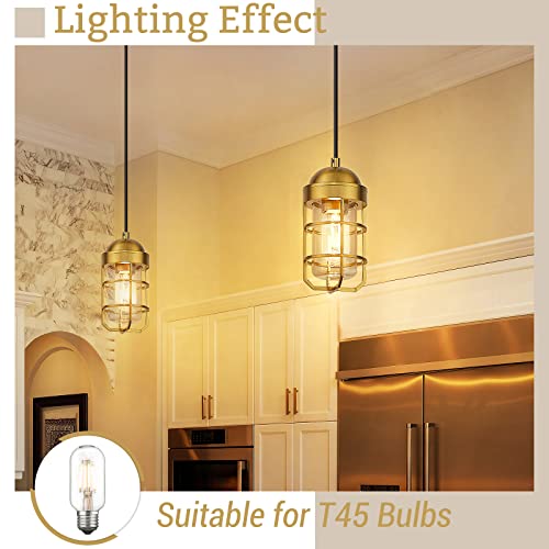 Emliviar Modern Gold Pendant Light with Metal Cage, Mini Ceiling Hanging Light with Clear Tempered Glass for Kitchen Dining Room, Gold Finish, GE255P BG