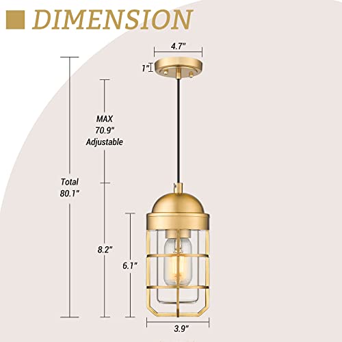 Emliviar Modern Gold Pendant Light with Metal Cage, Mini Ceiling Hanging Light with Clear Tempered Glass for Kitchen Dining Room, Gold Finish, GE255P BG