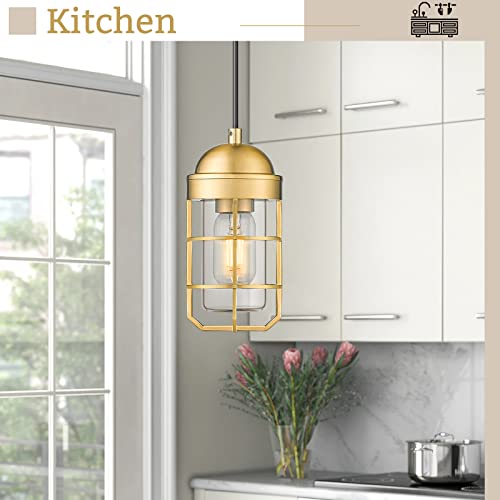 Emliviar Modern Gold Pendant Light with Metal Cage, Mini Ceiling Hanging Light with Clear Tempered Glass for Kitchen Dining Room, Gold Finish, GE255P BG