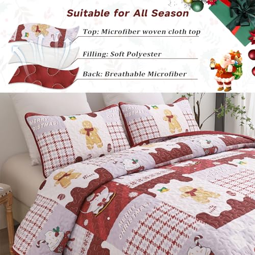 Drucon Christmas Quilt Set King Reversible Christmas Deer Snowflake Pattern Red Deer Plaid Patchwork Bedding Quilt Coverlet with 2 Pillowshams for All Season 104"x90"