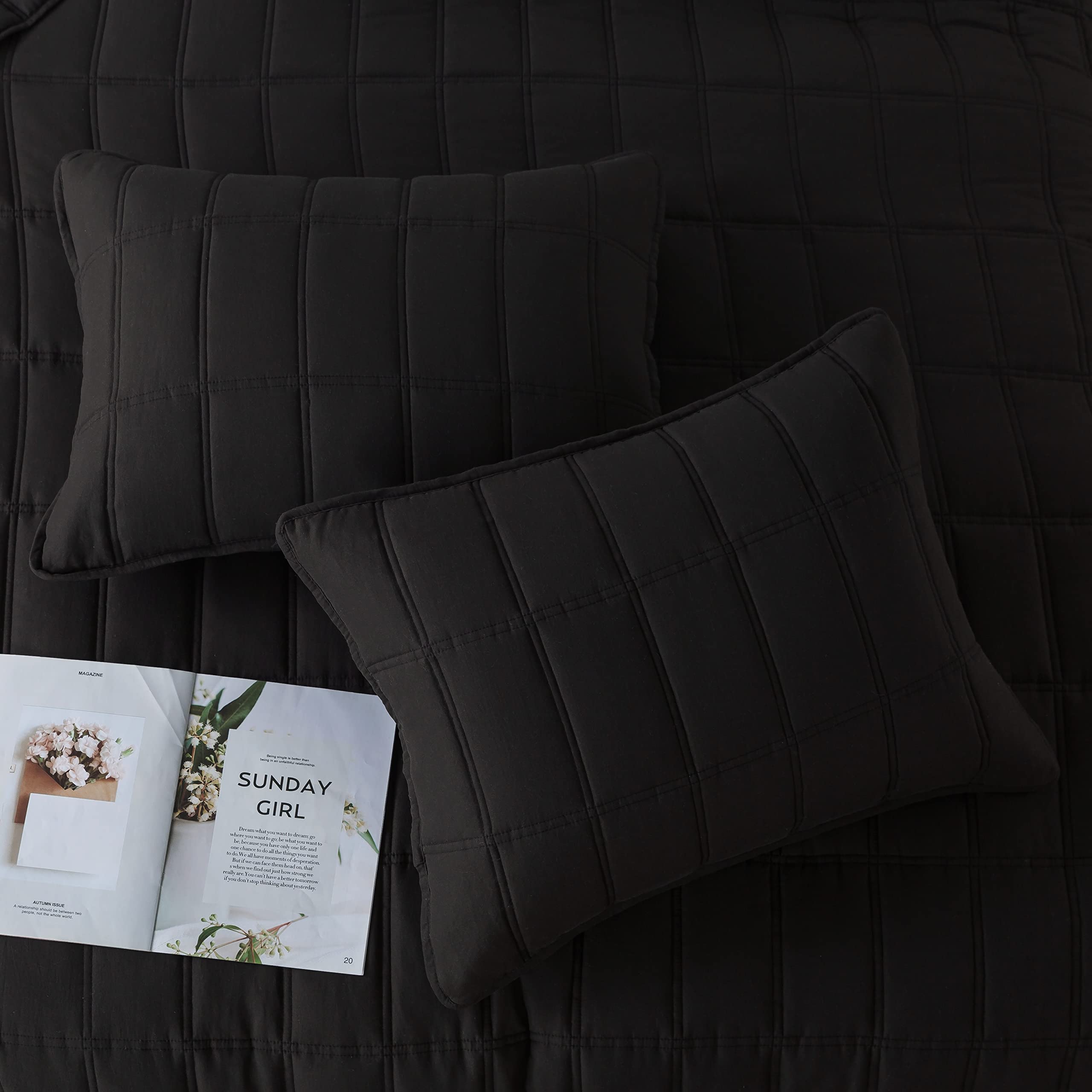 palassio Black Quilt Queen Size Bedding Sets with Pillow Shams, Lightweight Soft Bedspread Coverlet, Quilted Thin Blanket Comforter Bed Cover for All Season Spring Summer, 3 Pieces, 90x90 inches