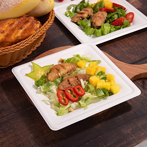 SUT 8-Inch Compostable Paper Plates, 100 PCS Square Biodegradable Bagasse Plates, Heavy-Duty Microwaveable Plates, Eco-Friendly Natural Disposable Plates, Made of Sugarcane Fibers, for Party, Picnic