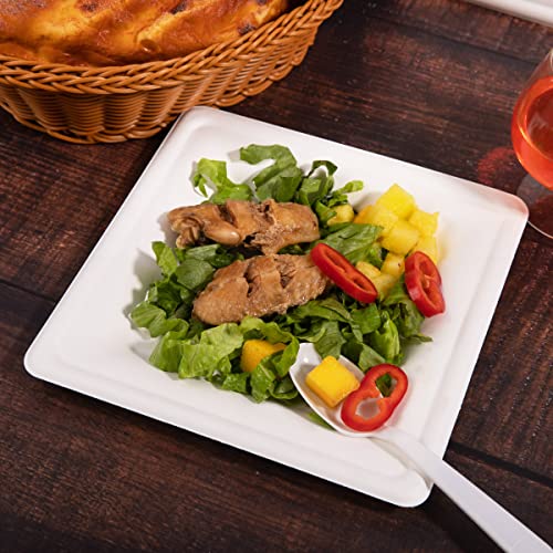 SUT 8-Inch Compostable Paper Plates, 100 PCS Square Biodegradable Bagasse Plates, Heavy-Duty Microwaveable Plates, Eco-Friendly Natural Disposable Plates, Made of Sugarcane Fibers, for Party, Picnic