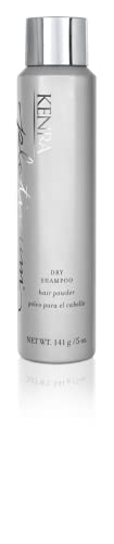 Kenra Platinum Dry Shampoo | Oil Absorbing Spray | Instantly Revives & Refreshes Hair | Saves Time & Extends Blowouts | All Hair Types | 5 oz