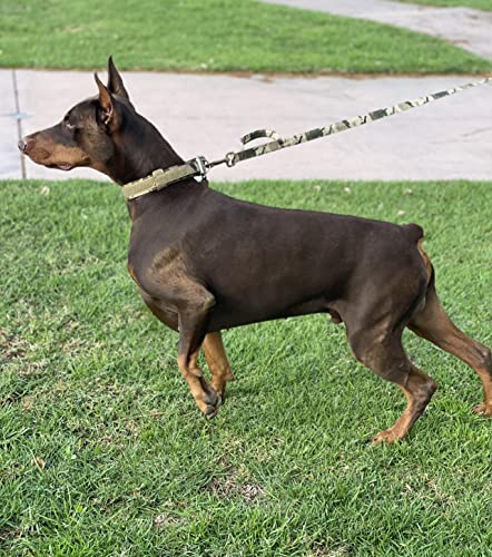 Tactical Dog Military Collar and Leash Set (Medium, Camo Tan)