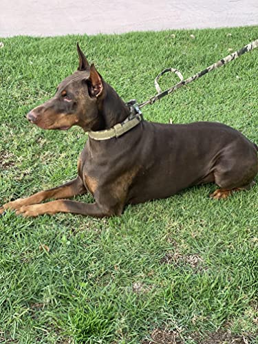 Tactical Dog Military Collar and Leash Set (Medium, Camo Tan)