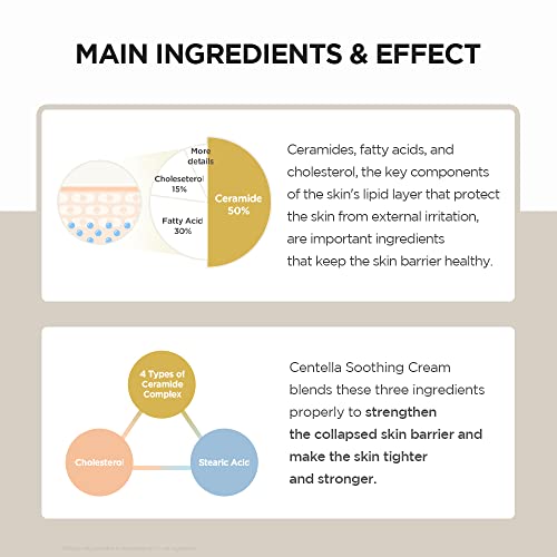 SKIN1004 Madagascar Centella Soothing Cream 2.53 fl.oz (75ml) | Quadruple Ceramide Complex | Strengthens Skin Barrier | Smooths Skin