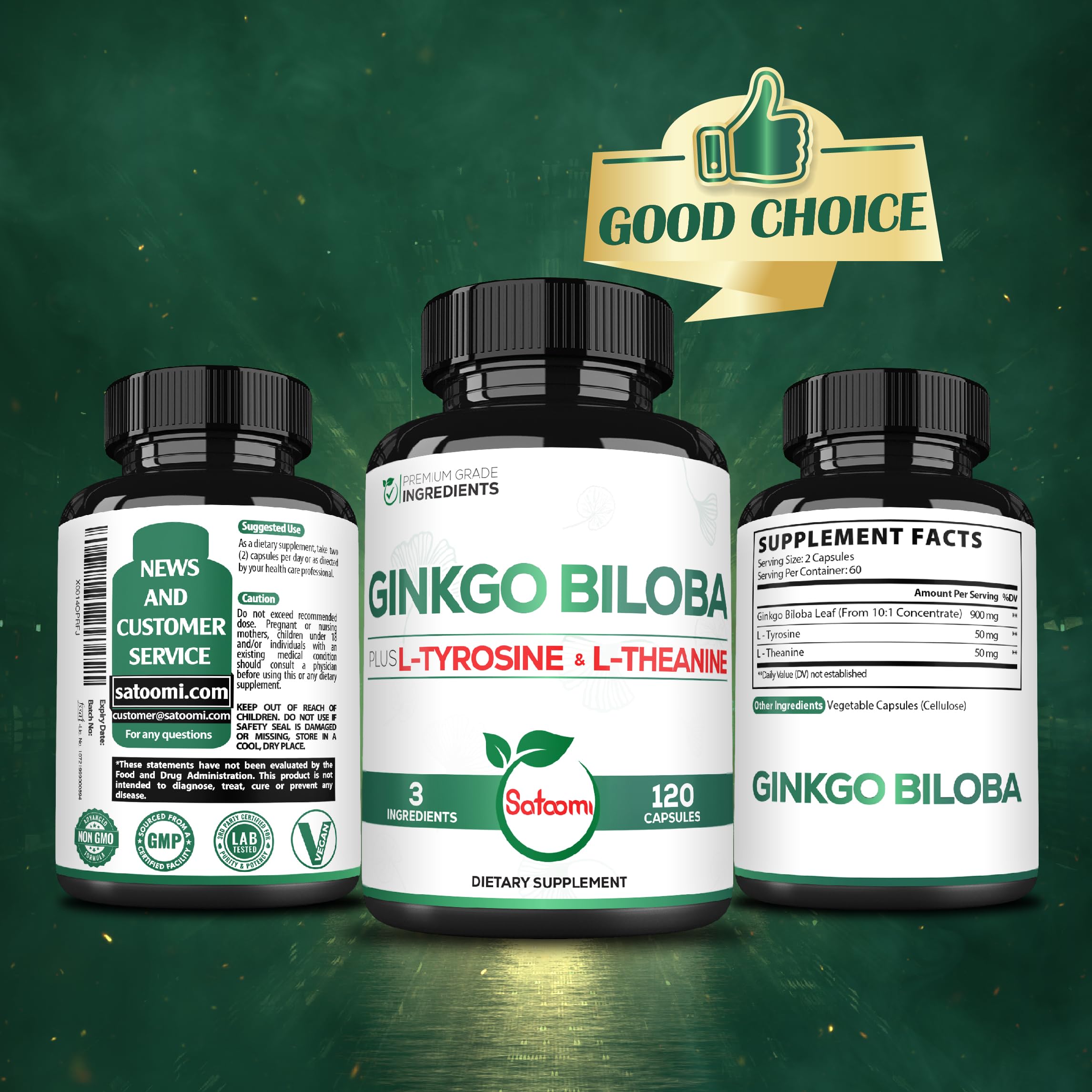 1000mg Ginkgo Biloba Supplements with L-Tyrosine, L-Theanine - 120 Capsules for 2-Month Supply - Support Focus, Mermory Function, Brain Health & Vision Quality