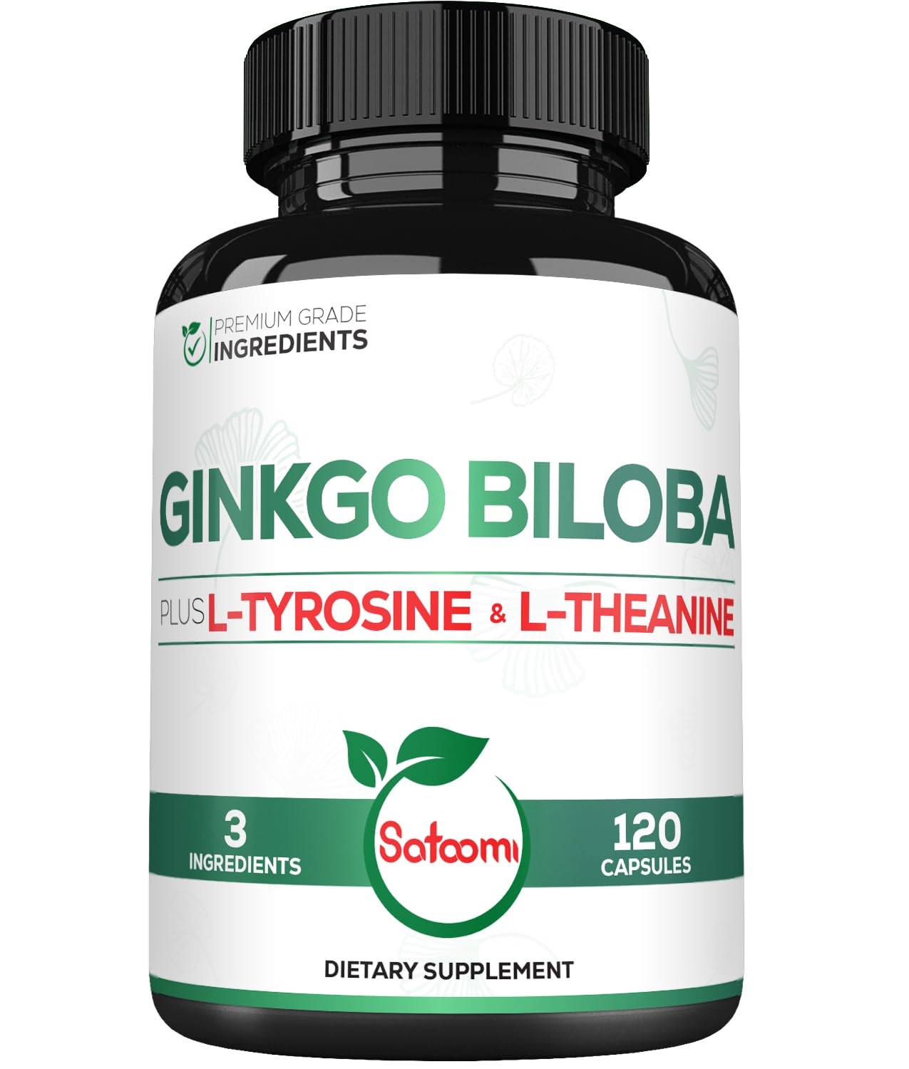 1000mg Ginkgo Biloba Supplements with L-Tyrosine, L-Theanine - 120 Capsules for 2-Month Supply - Support Focus, Mermory Function, Brain Health & Vision Quality