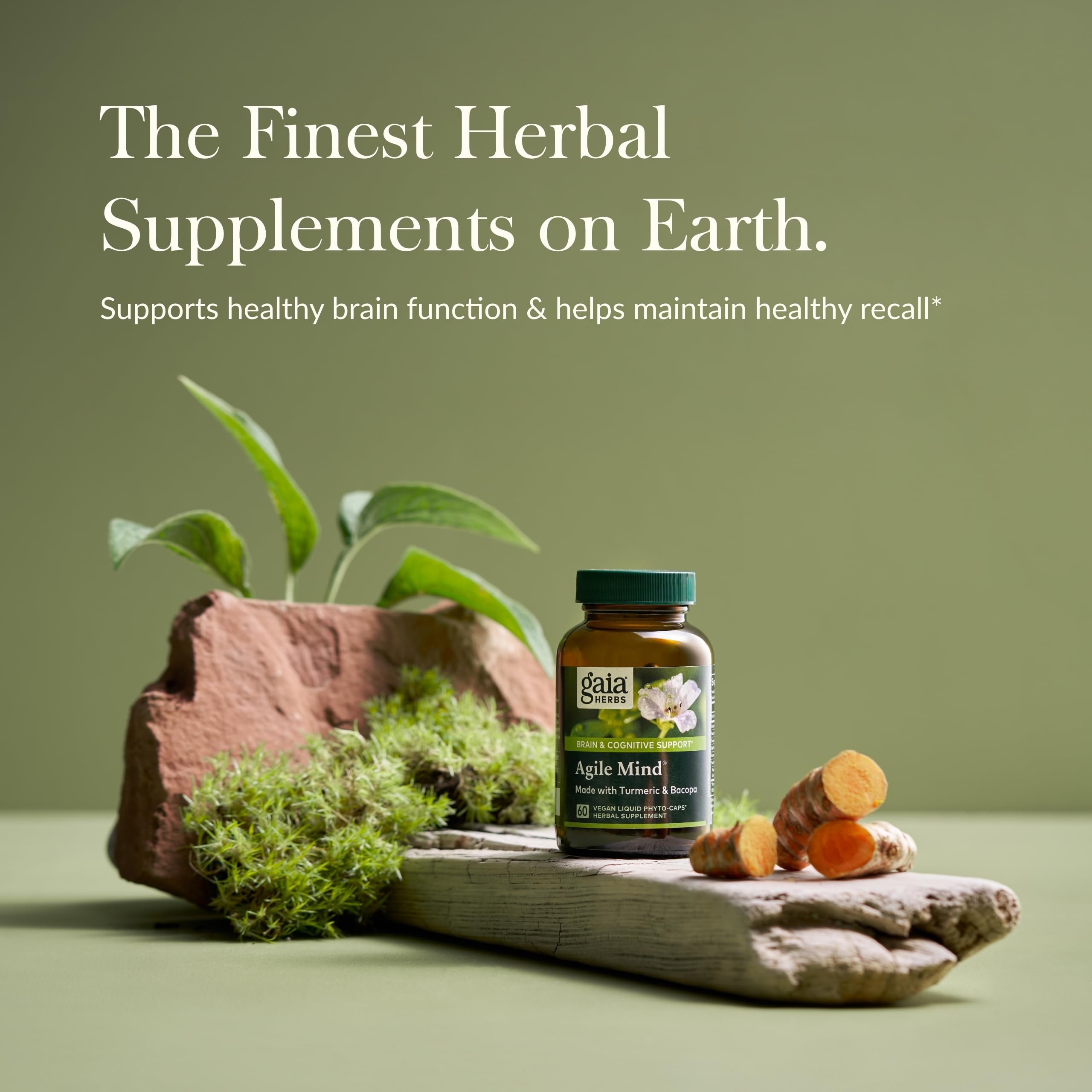 Gaia Herbs Agile Mind - Brain & Cognitive Support Herbal Supplements - with Organic Turmeric Root, Bacopa, Black Pepper, and Ginkgo Biloba - 60 Vegan Liquid Phyto-Capsules (30-Day Supply)