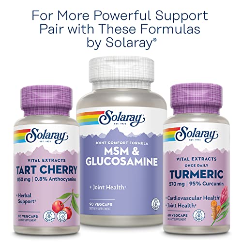 Solaray Celery Seed 1010 mg, Traditional Liver, Water Balance, and Joint Support, Whole Celery Seeds with Phytochemicals and Flavonoids, Vegan, Lab Verified, 60-Day Money-Back Guarantee, 50 Servings, 100 VegCaps