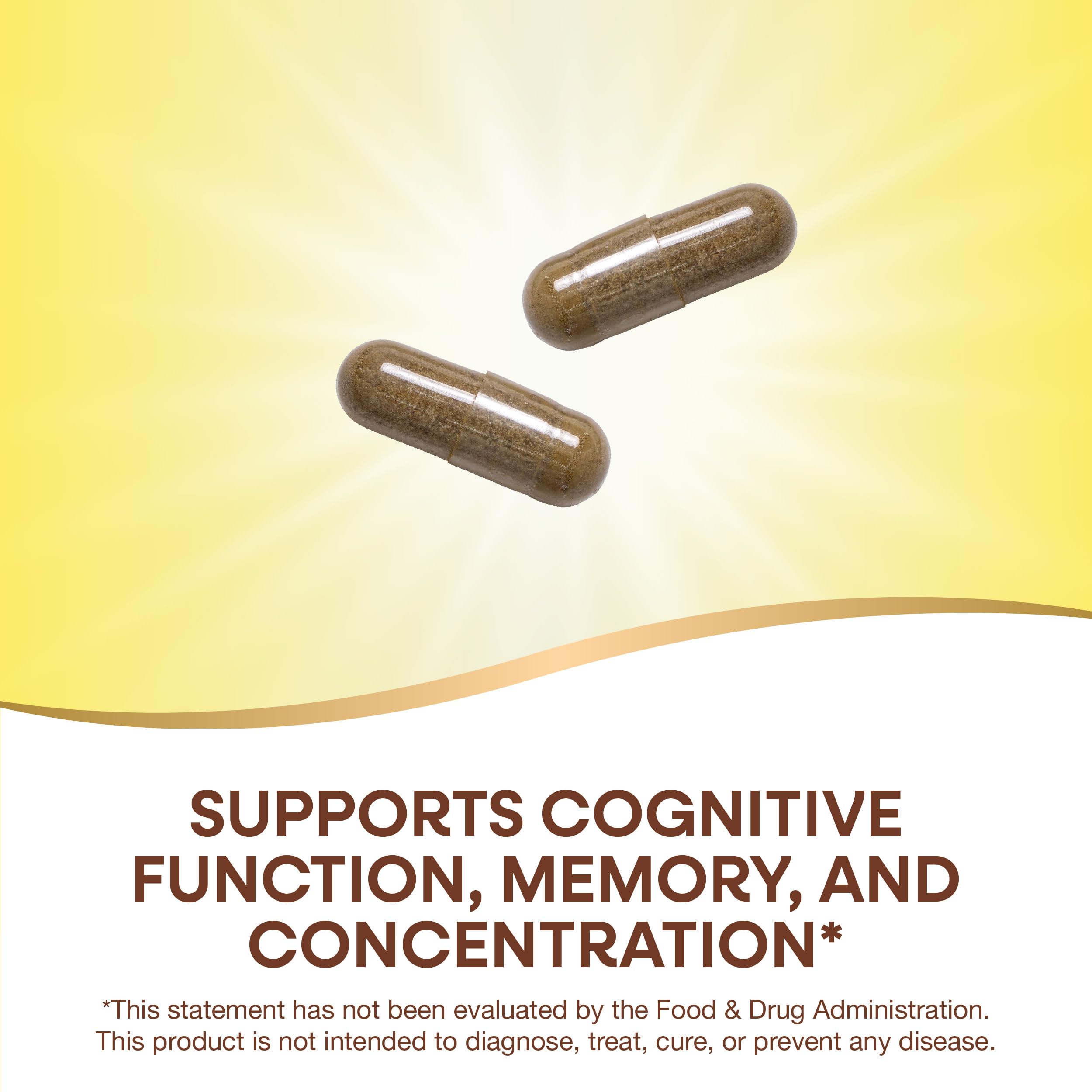Nature's Way Ginkgo Premium Extract, Supports Memory & Concentration*, 120 mg Ginkgo Biloba Extract per 2-Capsule Serving, with Gotu Kola, Vegan, No Gluten, 60 Capsules (Packaging May Vary)