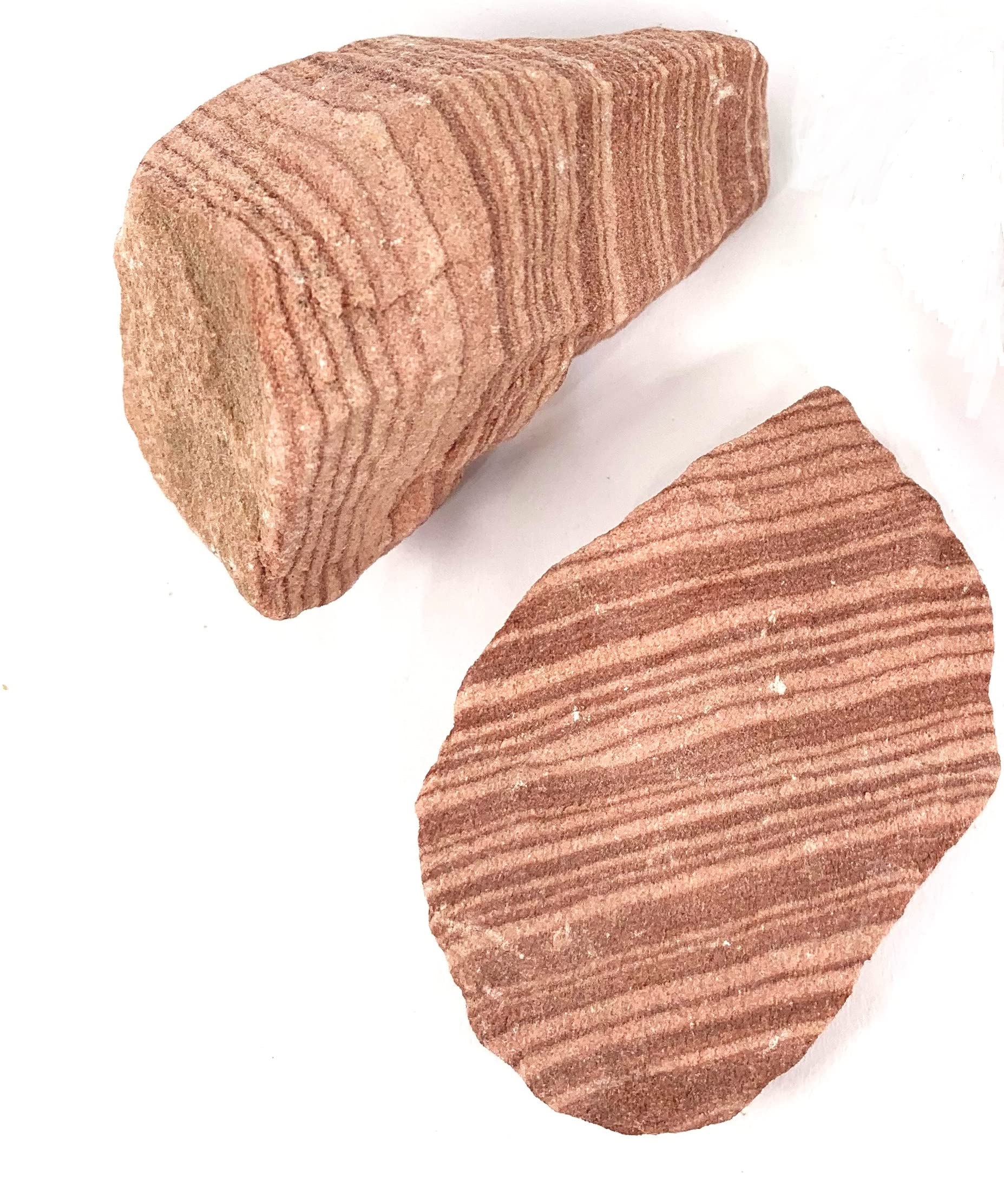 Sandstone Sedimentary Rock, w/Banding - 2 Unpolished Rock Specimens