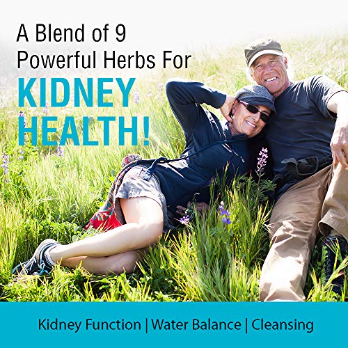 SOLARAY Kidney Blend SP-6 | Herbal Blend w/ Cell Salt Nutrients to Help Support Healthy Kidney Function | Non-GMO, Vegan (1 Pack)