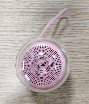 EWA A119 Mini Bluetooth Speaker with Lanyard, Small Speaker with Bass Radiator, IPX7 Waterproof, Tiny but Powerful, Cute Metal Wireless Portable Speaker (Rose-Gold)