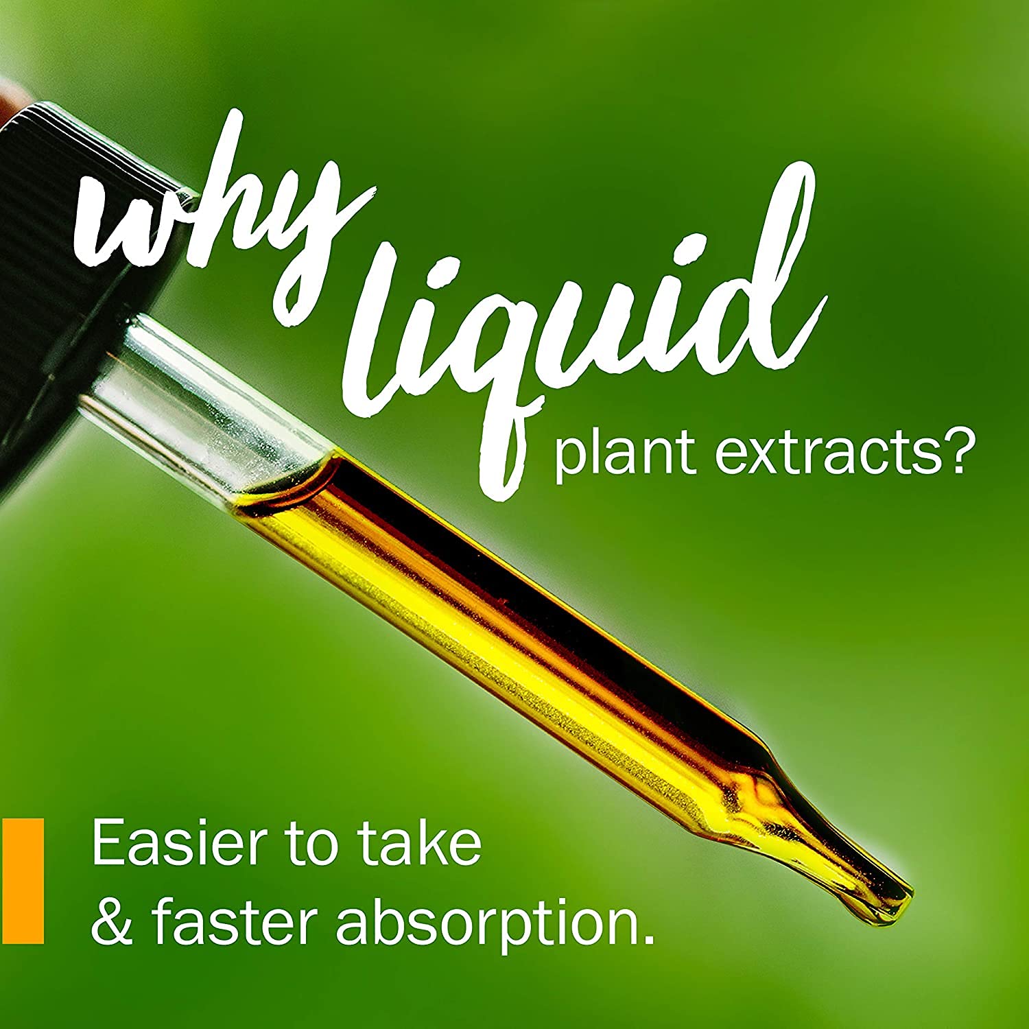 Herb Pharm Certified Organic Ginkgo Liquid Extract for Memory and Concentration - 1 Ounce (781468)